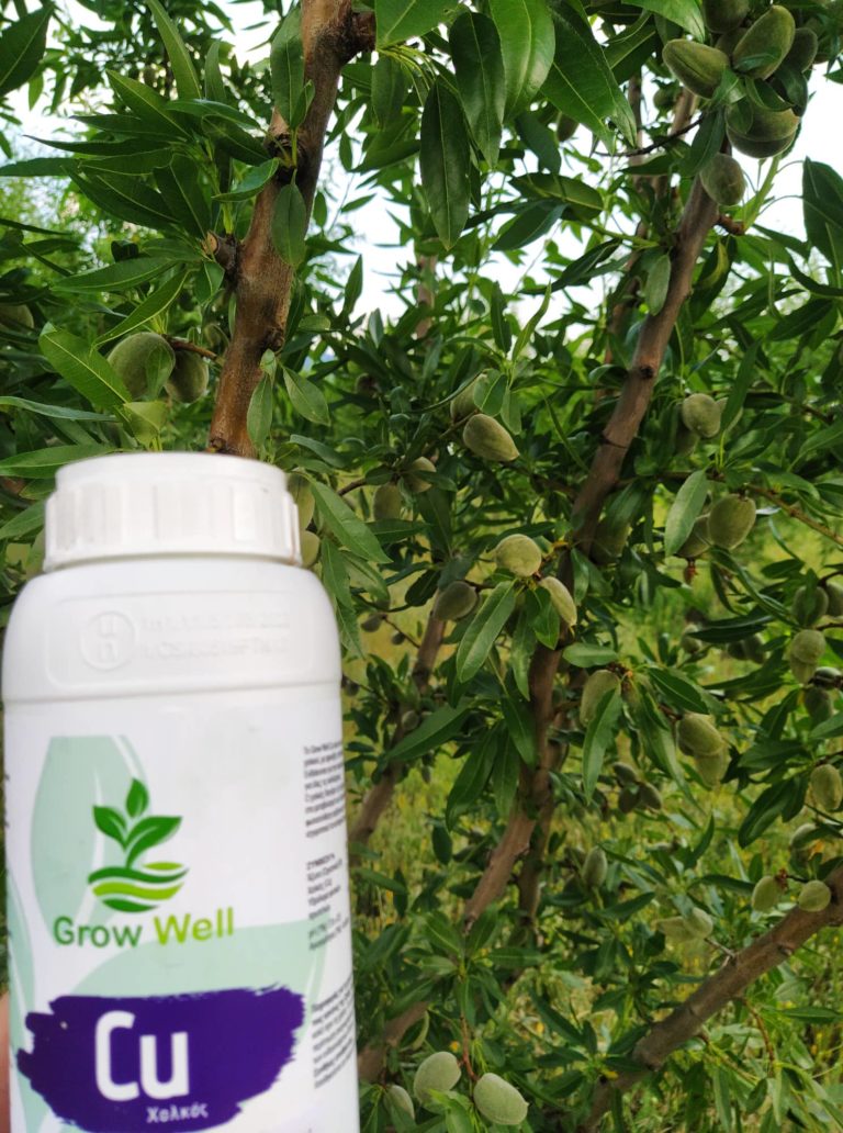 Υγρός Χαλκός Grow well Cu 1lit - myAGROmarket.gr